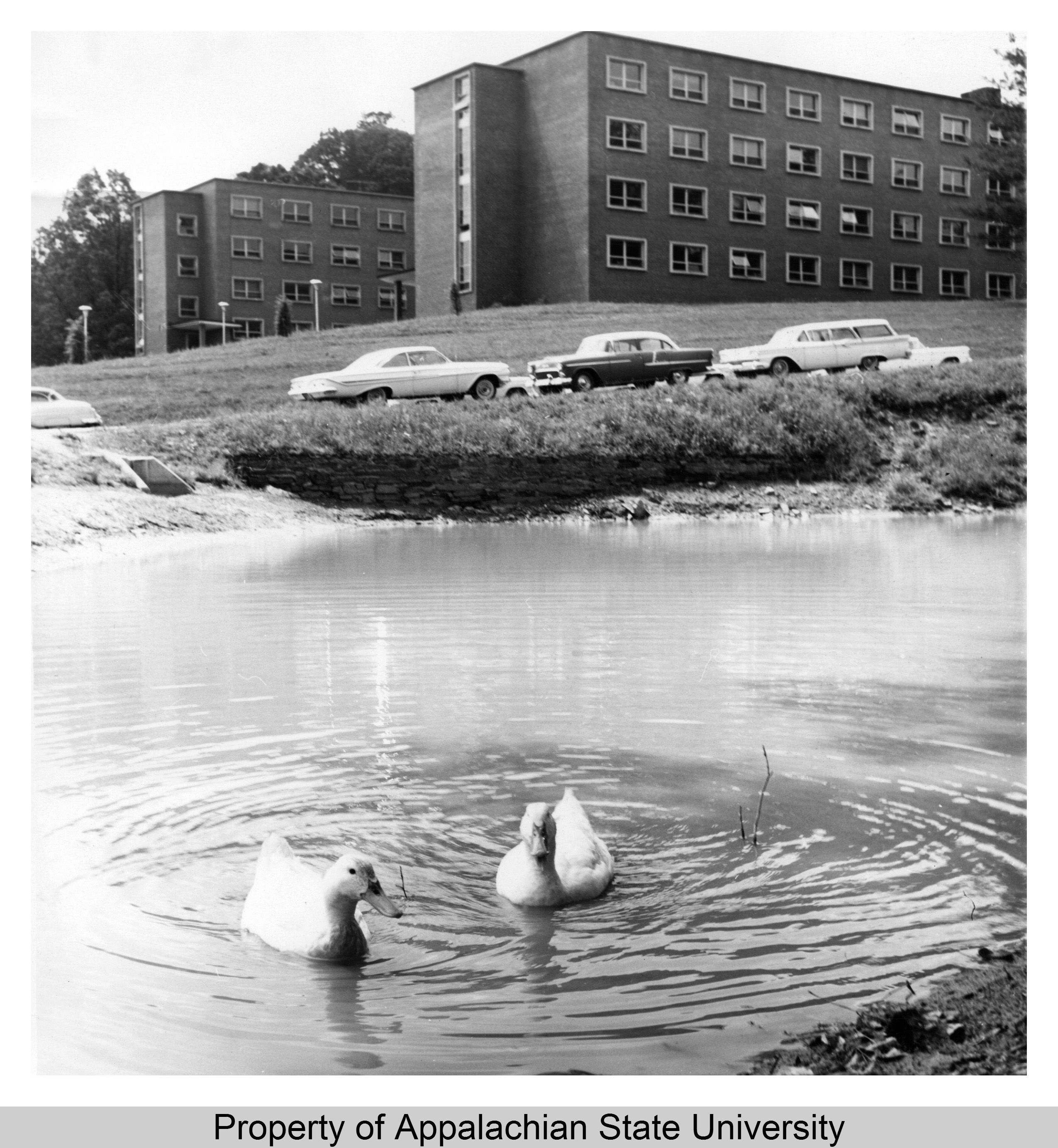 Appalachian State University / History