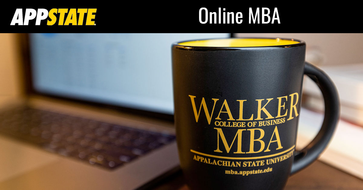 Online MBA Program